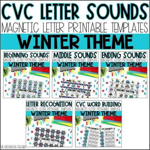 Winter Letter Recognition, CVC Words, Beginning, Middle and Ending Sounds