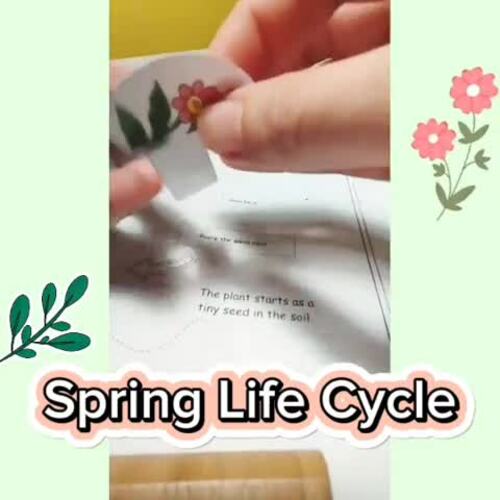 Spring Life Cycle Bundle!:Frog:Butterfly:Bee:Ladybug:Chicken:Plant ...