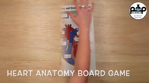 Heart Anatomy and Circulation Board Game by POP Science | TPT