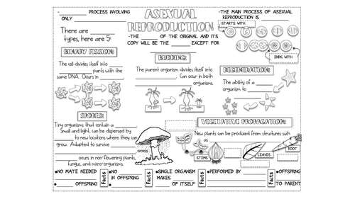 Asexual Reproduction Doodle Notes & Quiz | NGSS Differentiated Life Science