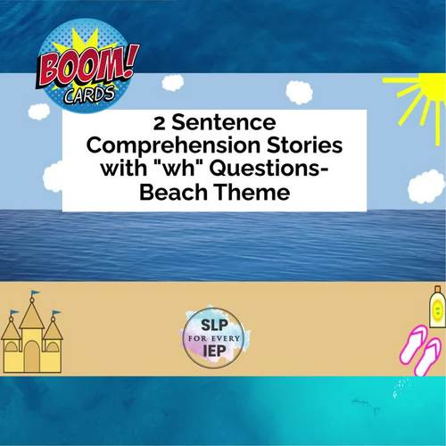 Beach Themed 2 Sentence Comprehension Stories with WH Questions (Boom Deck)
