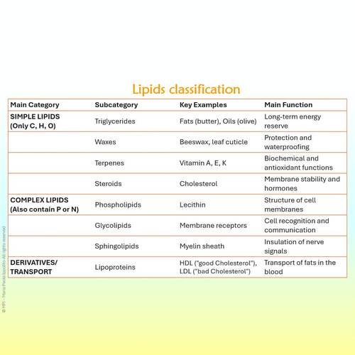 Lipids Visual Study Guide: AP Biology & Medical Entrance Exams by MPI ...