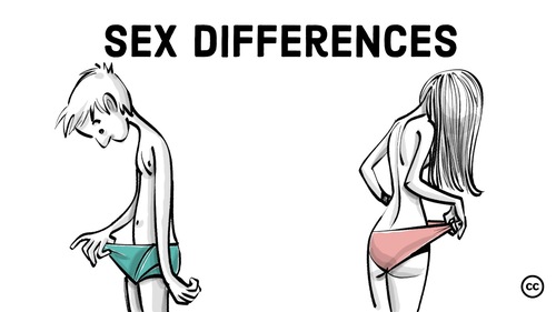 Sex Differences By Sprouts Learning Materials Tpt