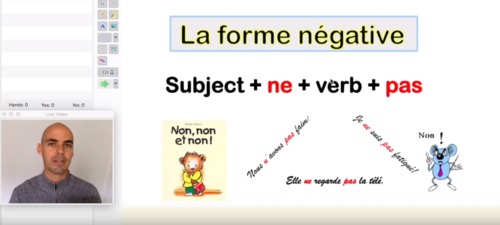 French lesson on the negative form in French by Myfrenchtutor | TPT