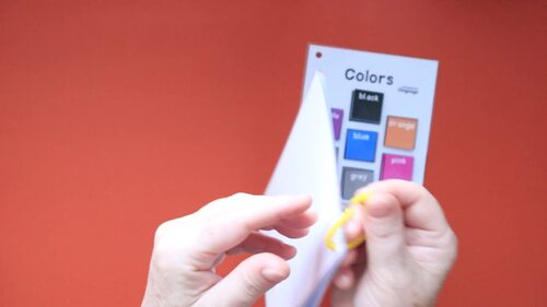 Colorful Owls in the Tree: Colors Interactive Mini Book, Make Sentences ...