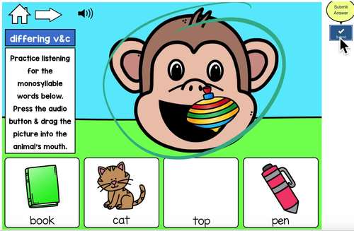 Auditory Training: Vowels & Consonants by The Chatty Classroom | TPT