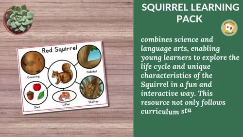 Parts of a Squirrel Life Cycle Types: Montessori Nomenclature 3 Part ...