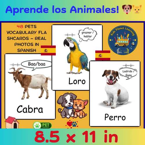 Spanish Pets Flashcards BUNDLE & Coloring Pages– Real Photos ...