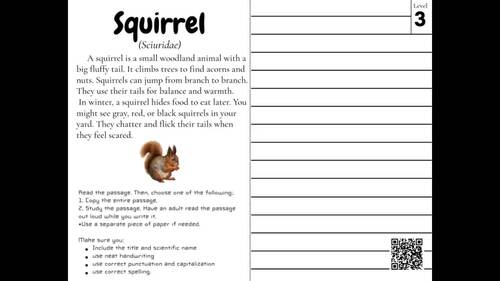 L3 Animals Nature Study Reading & Copywork Worksheets | PDF Printable ...