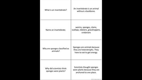 Invertebrates Flashcards by The Productive Teacher | TPT