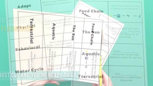 3rd Grade Science SOL Practice Flashcards {PDF & Digital Included}