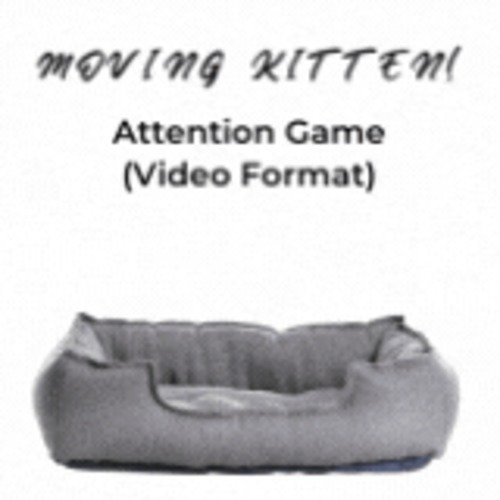 Sustained Attention or Brain Break Activity video format Moving Kitten
