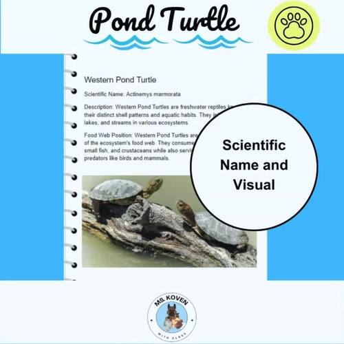 Fauna: Pond Turtle/Informational Text by Ms Koven with Class | TPT