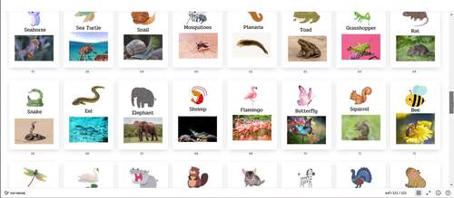 97 Types of Animal Artbook and Real Animal Picture Card - Back to School