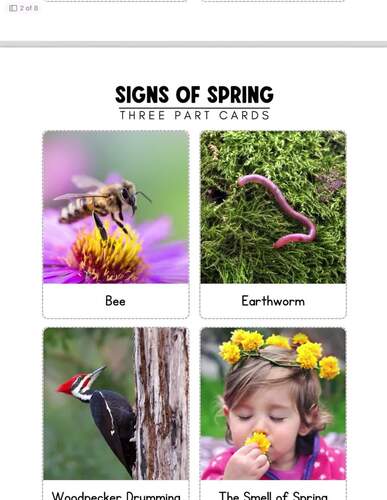 Spring Nomenclature Cards, Three Part Cards, Flash Cards, Spring Activities