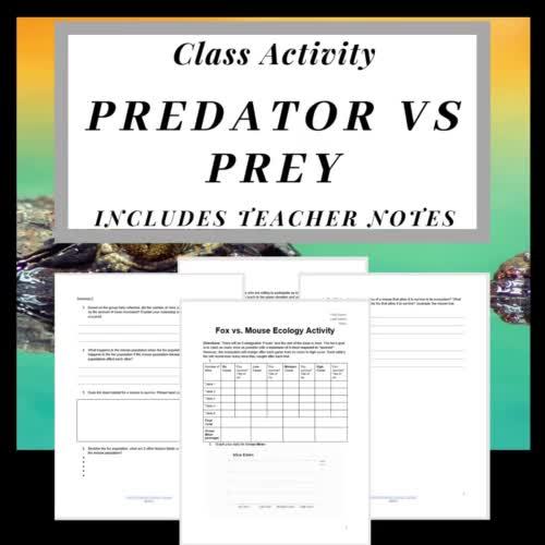 Predator vs Prey Competition Activity w/Teacher Notes, Competition ...