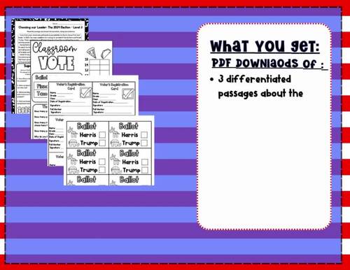 2024 Election Reading Activities, Classroom Voting Worksheets, Election ...