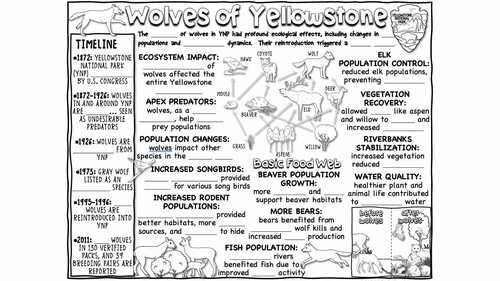 Wolves of Yellowstone Doodle Notes & Quizzes (PDF and Google Form)