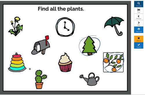 Categories Find the Objects that Belong BOOM CARDS™/ NO PREP / Semantic ...