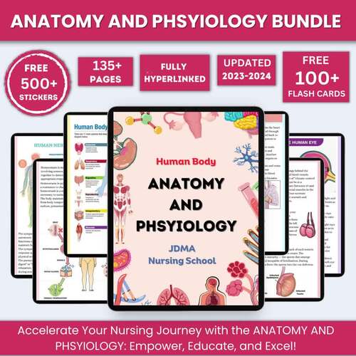 Anatomy & Physiology Bundle with Flashcards and Stickers | Anatomy ...