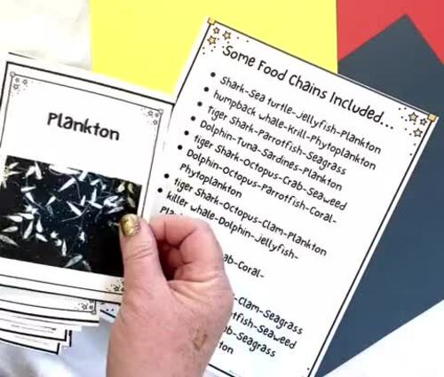 OCEAN FOOD CHAINS Matching Game Cards Producers, Consumers by Science ...