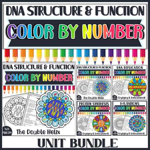 DNA Structure & Replication |Protein Synthesis |Mutations Color by ...