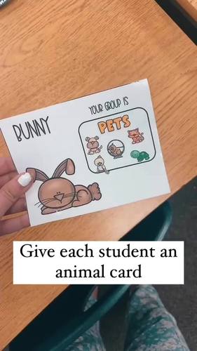 Small Group of 6 Animals Partner Pairing Cards | Classroom Management