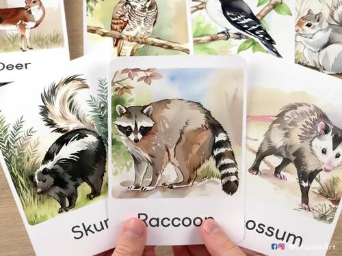 Woodland Animals Flashcards: Printable Educational Cards for Language ...