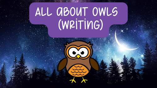 All About Owls Writing Owls Can Have Are PreK Kindergarten First TK UTK