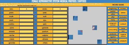 Female Reproductive System Medical Prefixes/Suffixes by Abaco Education ...