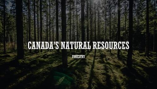 Forestry - Canada's Natural Resources [Powerpoint, Video, Slides Lesson]