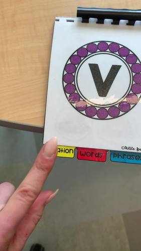 Quick Artic Flipbooks: /L/ & /R/ by Petite Speech Geek | TPT