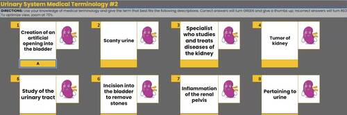 Urinary System Medical Terminology Digital Google Sheetsᵀᴹ and Print ...