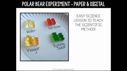 Grow Your Own Polar Bear Science | Gummy Bear Experiment | TPT