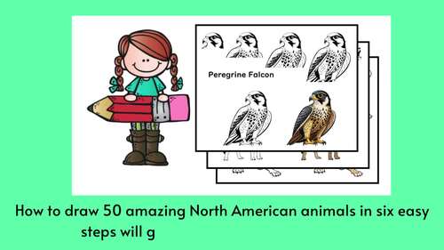 HOW TO DRAW THE 50 MOST POPULAR ANIMALS IN NORTH AMERICA IN 6 EASY ...