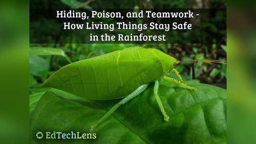 How Living Things Use Bodies and Behaviors to Protect Themselves Unit PDF