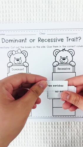Dominant or Recessive Trait? – Cut and Paste Sorting Activity | TPT