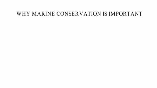 Marine Conservation | Video Lesson, Handout, Worksheet | Environmental ...