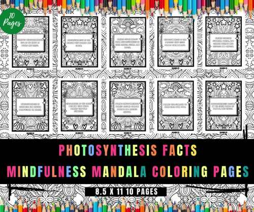 Photosynthesis Activities, Facts Mindfulness Relaxing Coloring Sheets ...