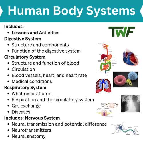 Human Body Systems Unit | Digestive, Circulatory, Respiratory, Nervous ...