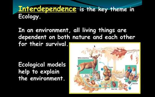 Biology Lecture Video/Ecology Part 2/Flipped Classroom/Edpuzzle Ready