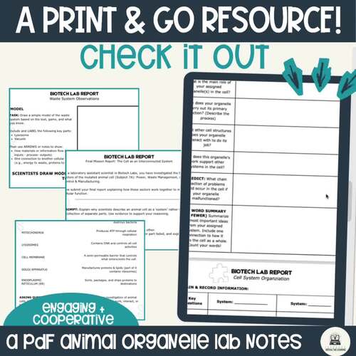 Animal Cell Organelle Label + Function| No Prep Comprehension ...