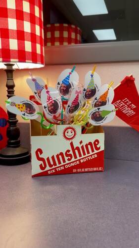 Birthday Straw Toppers Gift by FUNshine JOY | TPT