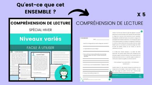 Compréhensions de Lecture Texte Hiver - French Reading Comprehension