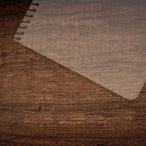 90 Animal Photographs for Art Reference, PDF, Middle School, High ...