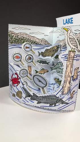 Lake Biome Model - 3D Model - Biome Project - Distance Learning | TpT