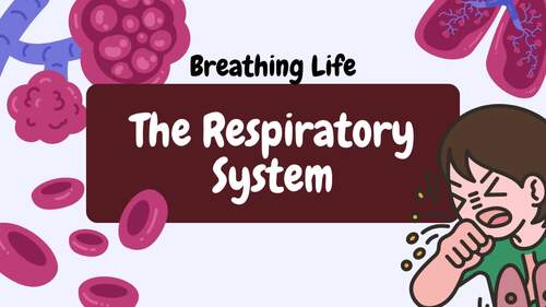 Respiratory System Unit – PowerPoint, MP4 Video, and Print-Ready Worksheets