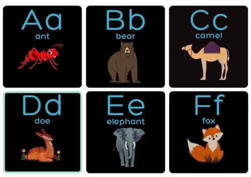 Rainbow Pastel Animal Alphabet Flashcards by professional designer