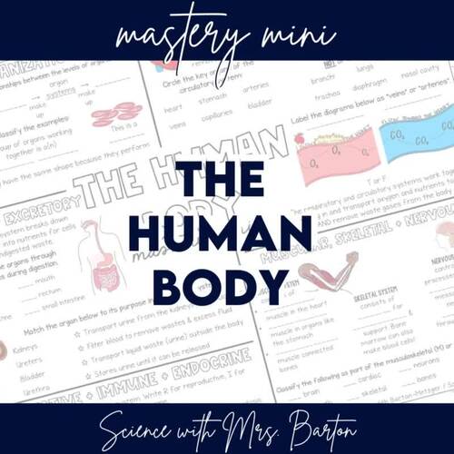 Mastery Mini - The Human Body by Science with Mrs Barton | TPT