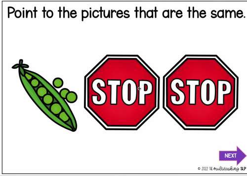 Identify Pictures that are the Same (Field of 3 & 4) | Printable & BOOM ...